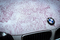 PAINT PROTECTION FILM – Auto Catalyst Detailing